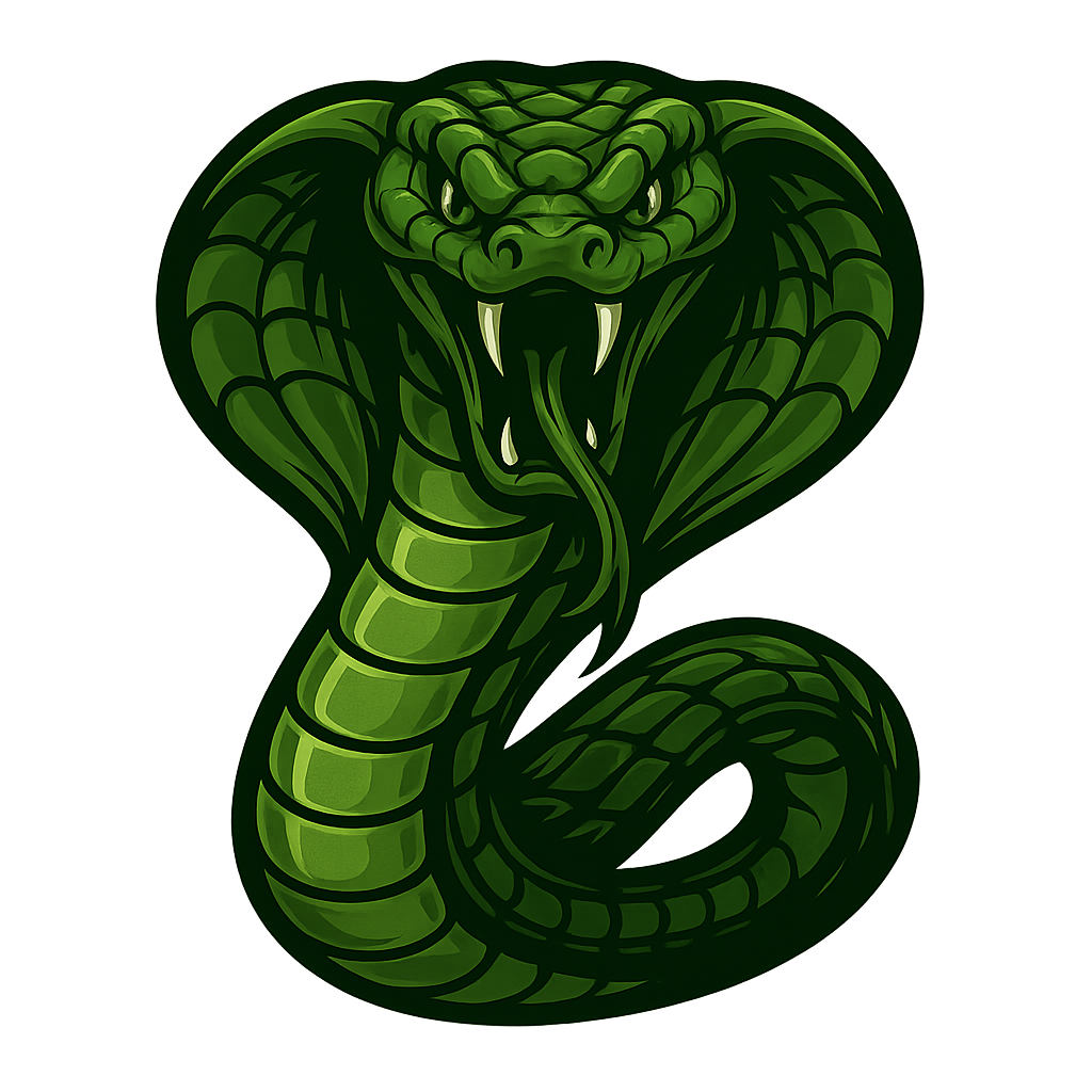 NHNC 2025 CTF - Attacking YOLOv8 vs YOLOv10: Adversarial CNN ...